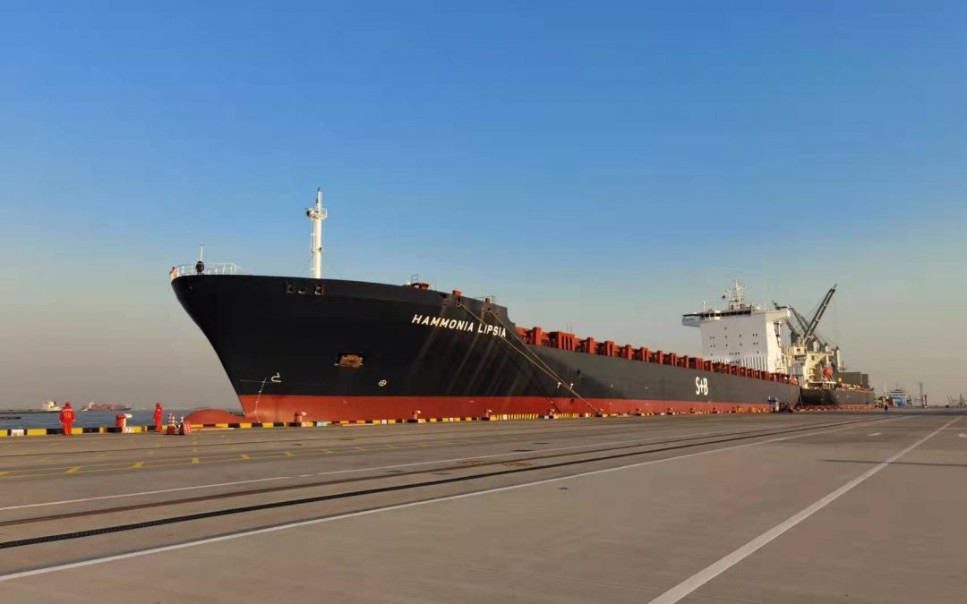 Lo spedizioniere-armatore Rif Line sale di livello: noleggiata una nave ...