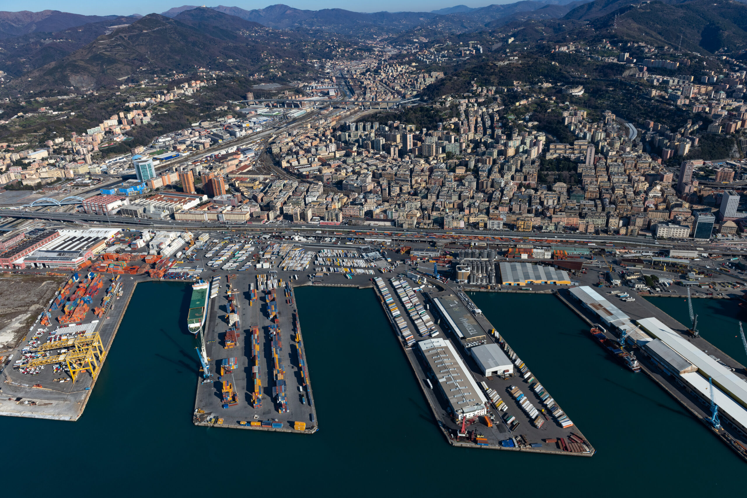 Forest Terminal con oltre 120mila tonnellate movimentate torna ai ...