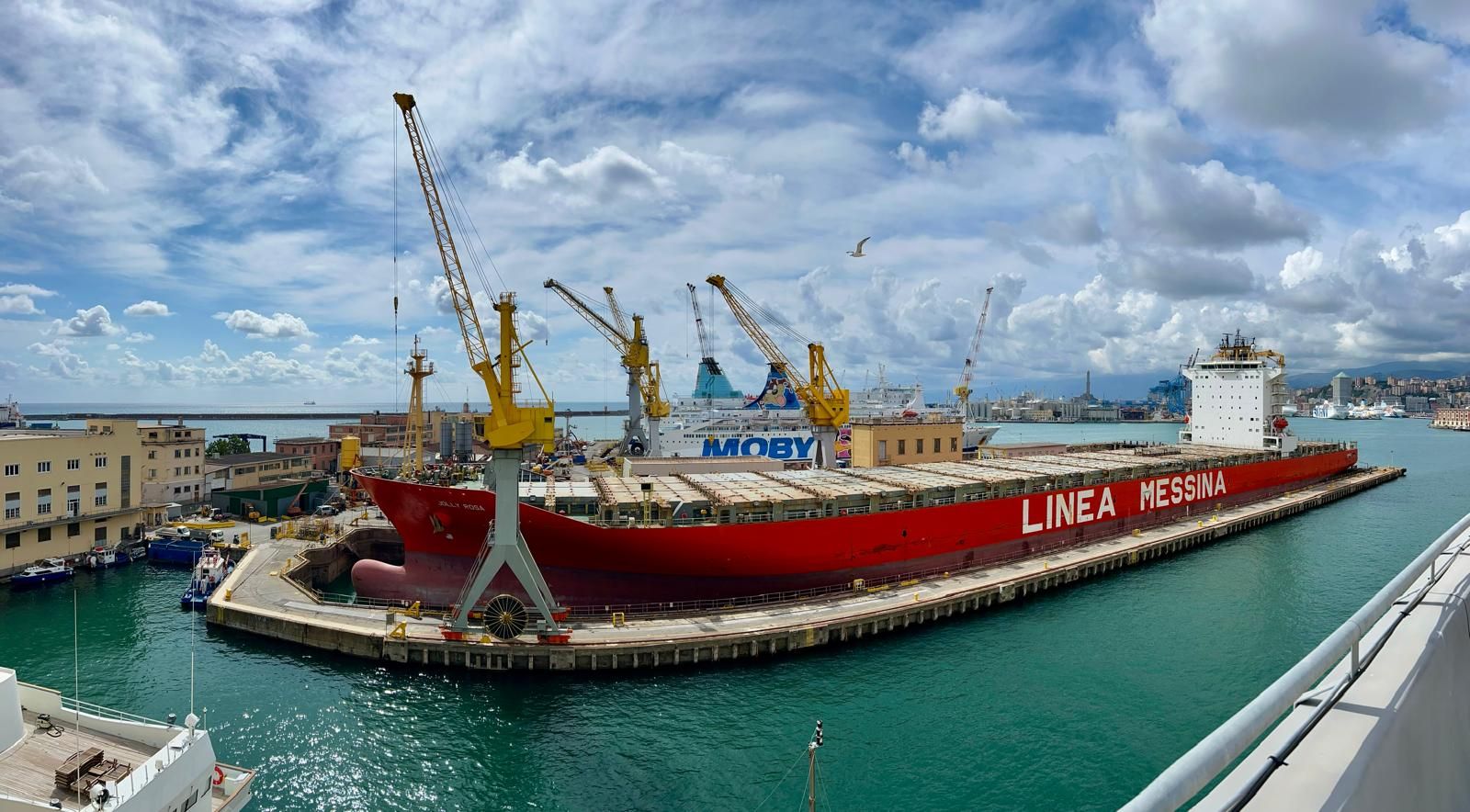 Commessa da record per Ente Bacini con la Jolly Rosa - Shipping Italy