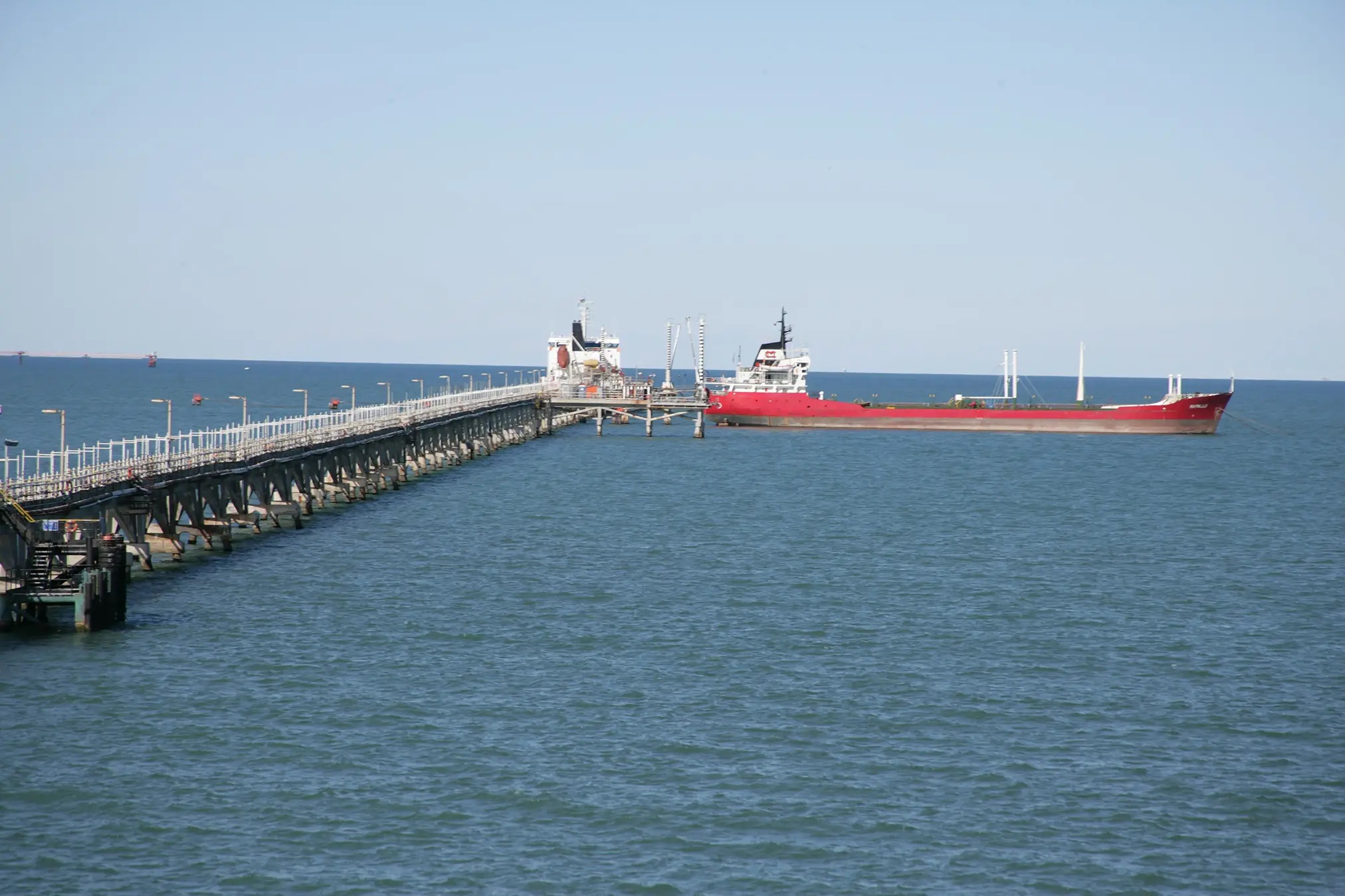 Guesswhox2 this girl showed up at my apartment building in